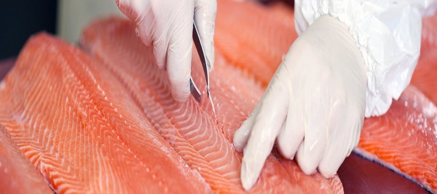 Meet the Food Processing Team | Kersia UK