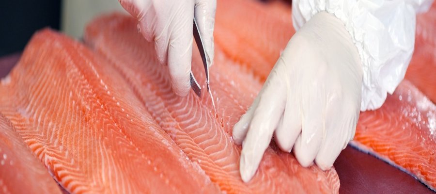 Fish Processing Hygiene | Kersia UK & Ireland