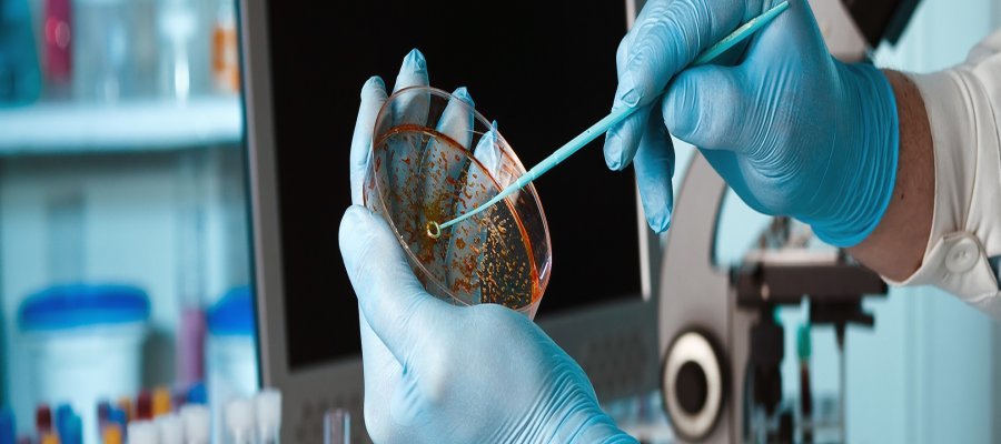 Food Processing Disinfectant Regulation & Testing | Kersia