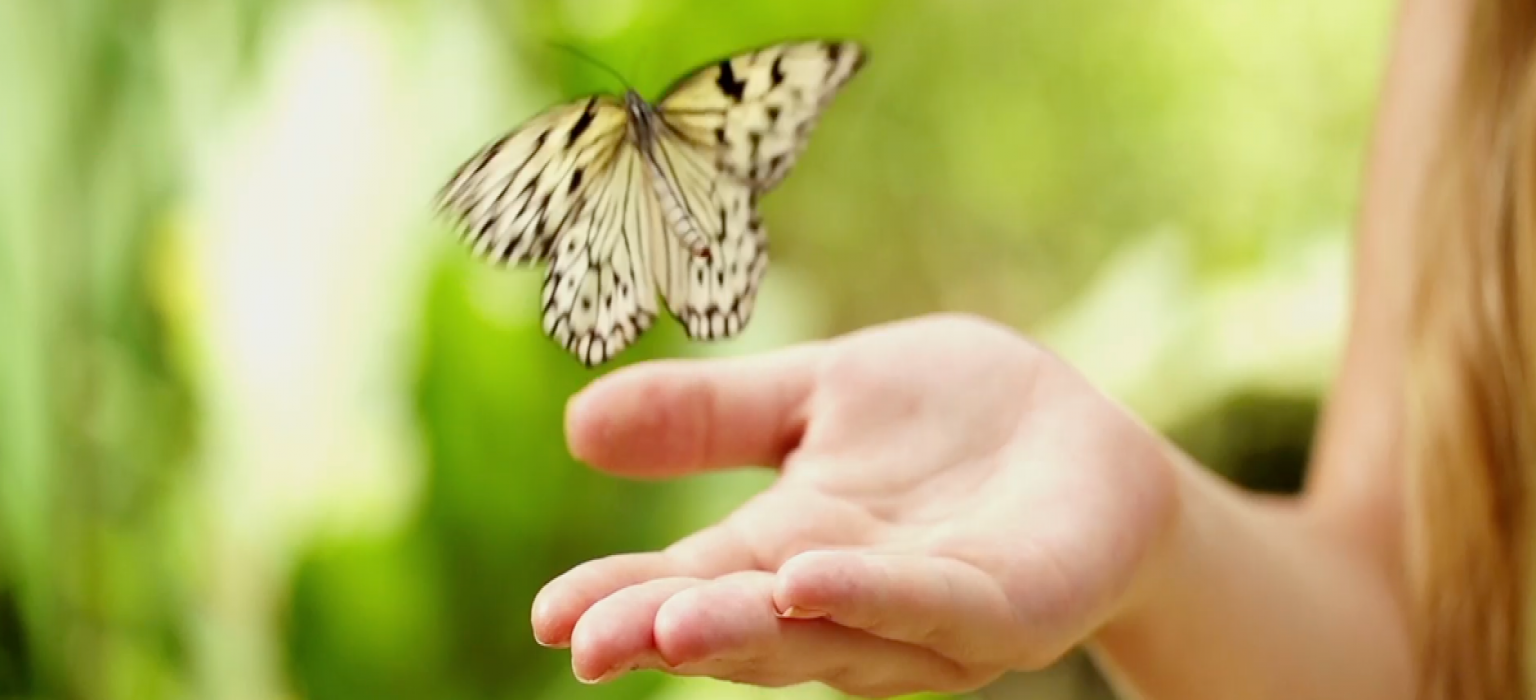 Inventing A Food Safe World | Kersia