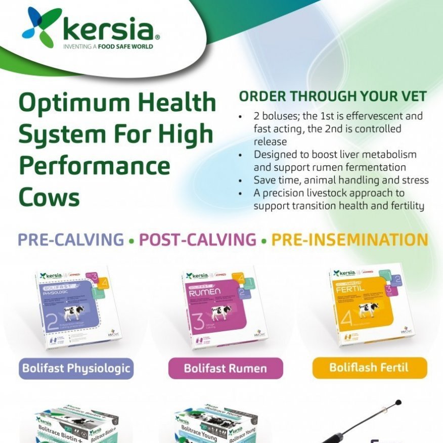 Media Centre | News and Updates | Kersia