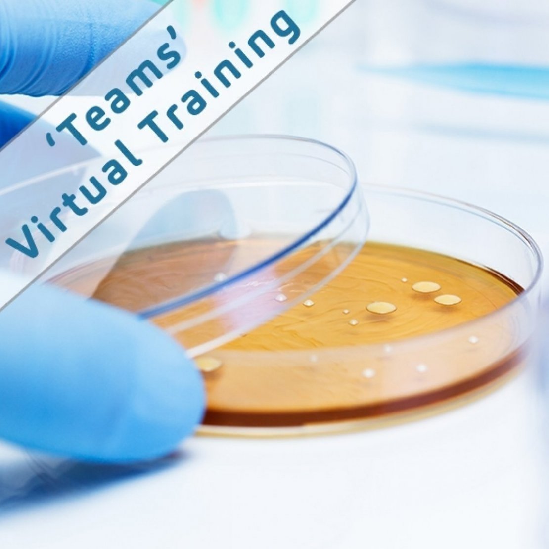 Level 2 Introduction to Microbiology - Virtual Training