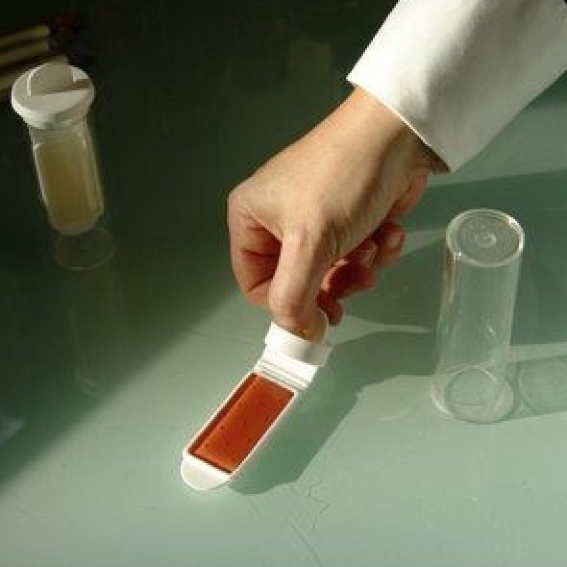 Plate Count & VRBG Agar Dipslides (Pack of 10)