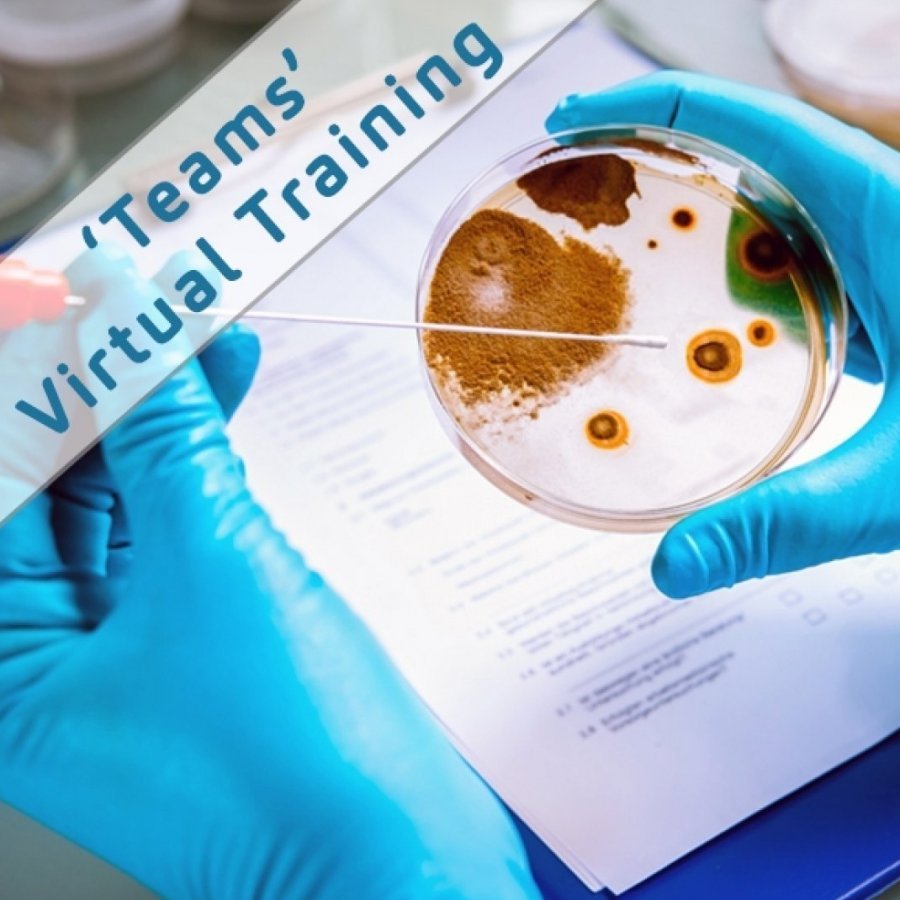 Level 4 Validation Monitoring And Verification Virtual Training 4327