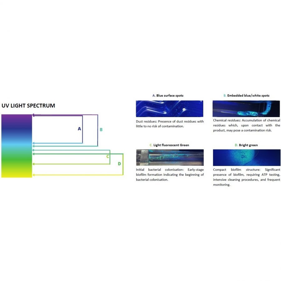 BioDtex Biofilm Detection Lamp