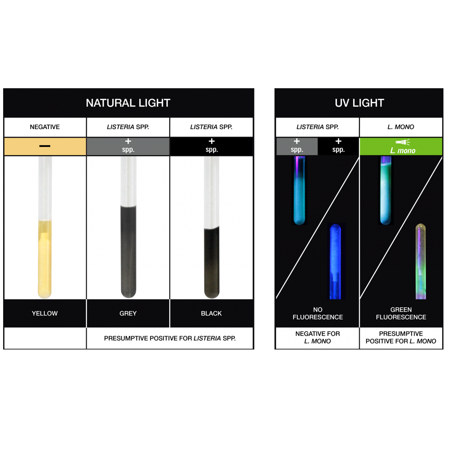 InSite™ Rapid Listeria Species & Listeria monocytogenes Test (Pack of 50)