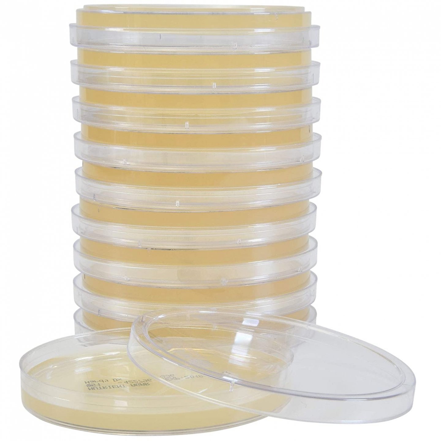 Traditional Microbiological Equipment