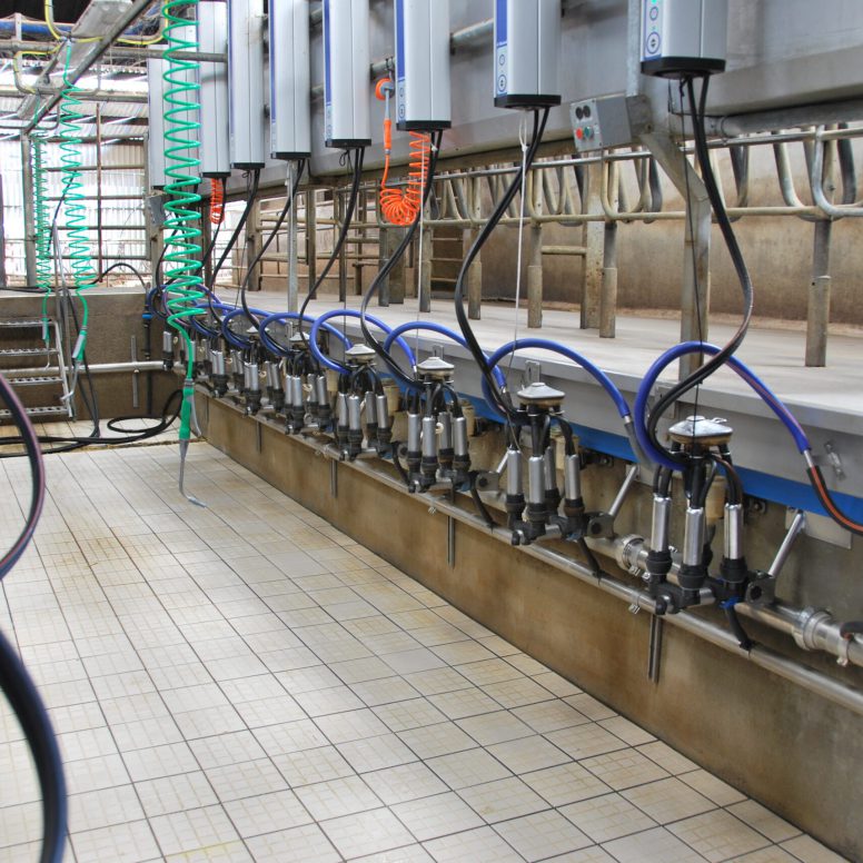 Detergents for Milking Parlours - Kersia Farm Hygiene