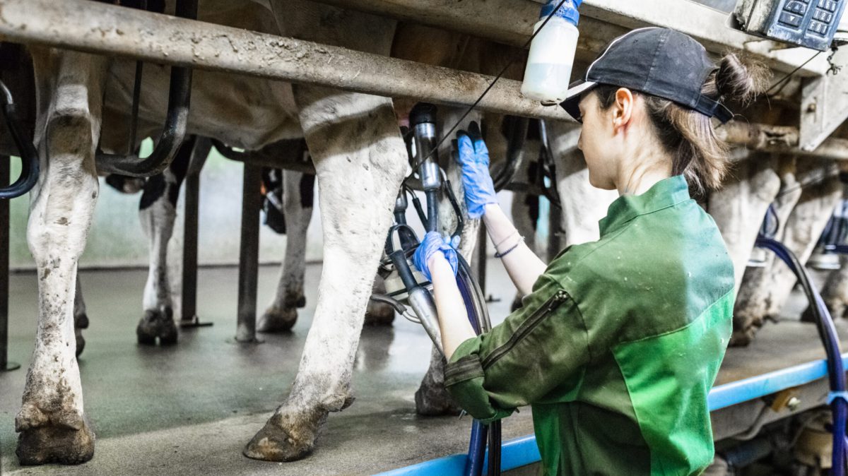 Dairy Hygiene - Kersia Farm Hygiene