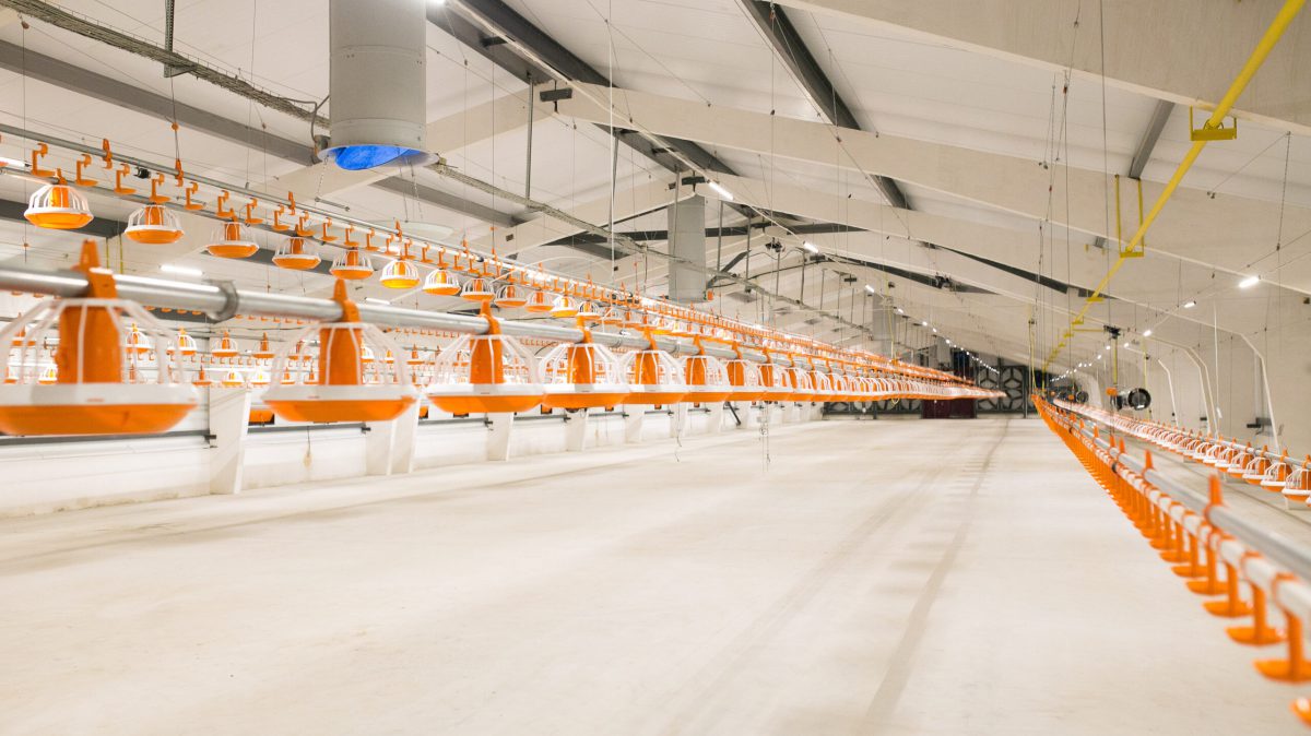 Poultry Farm Fogging & Ultradifussion - Kersia Farm Hygiene