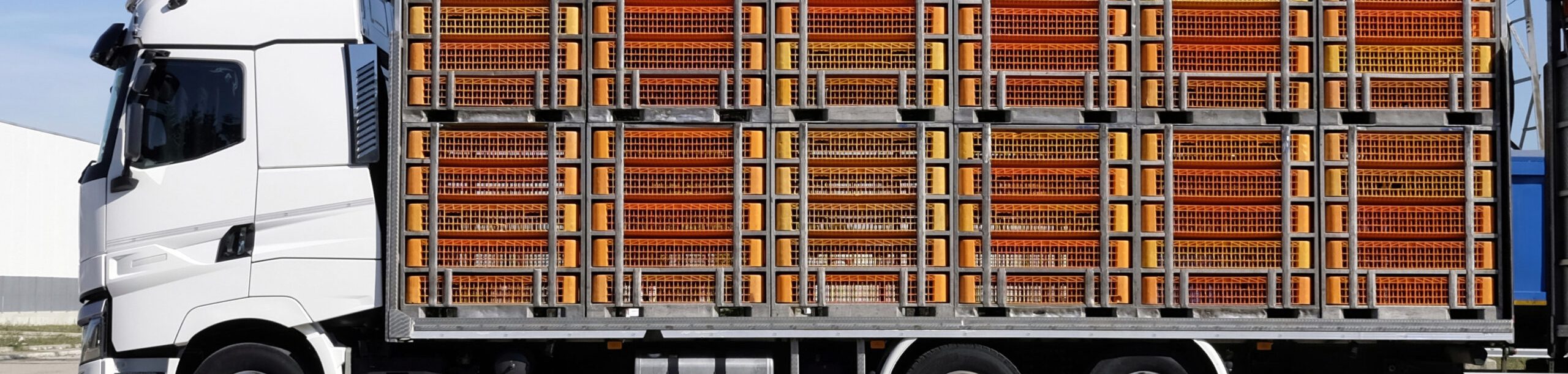 Poultry Transport Hygiene - Kersia Farm Hygiene